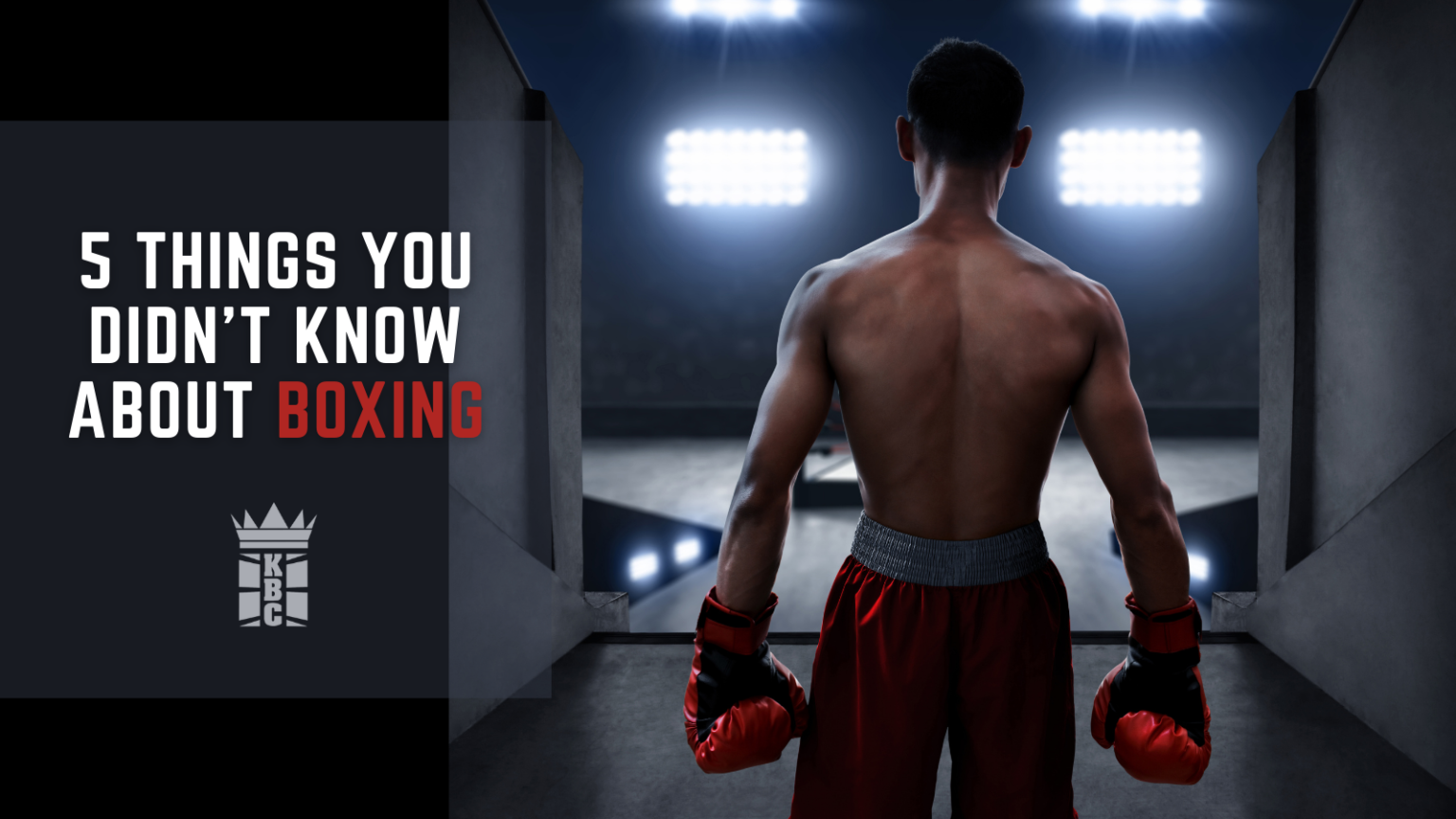 5 Things You Didn’t Know About Boxing – KINGSWAY BOXING
